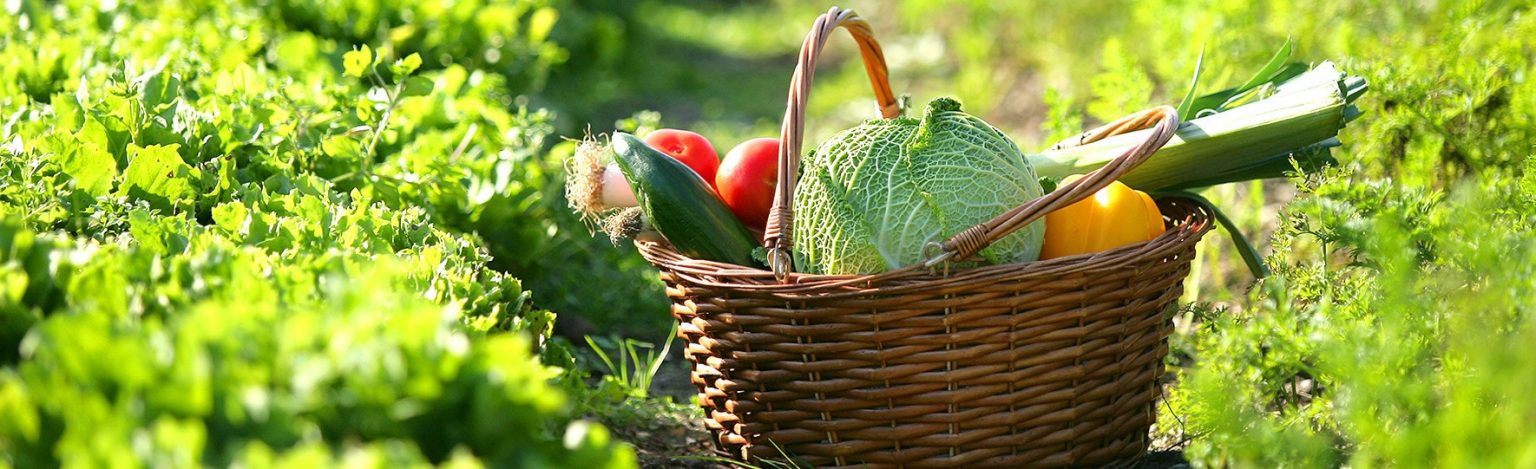 Order Standard Process® - Nutritional Wellness Center