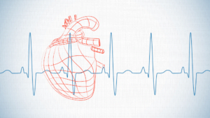 Understanding Heart Rate Variability: A Simple Guide to Your Heart ...